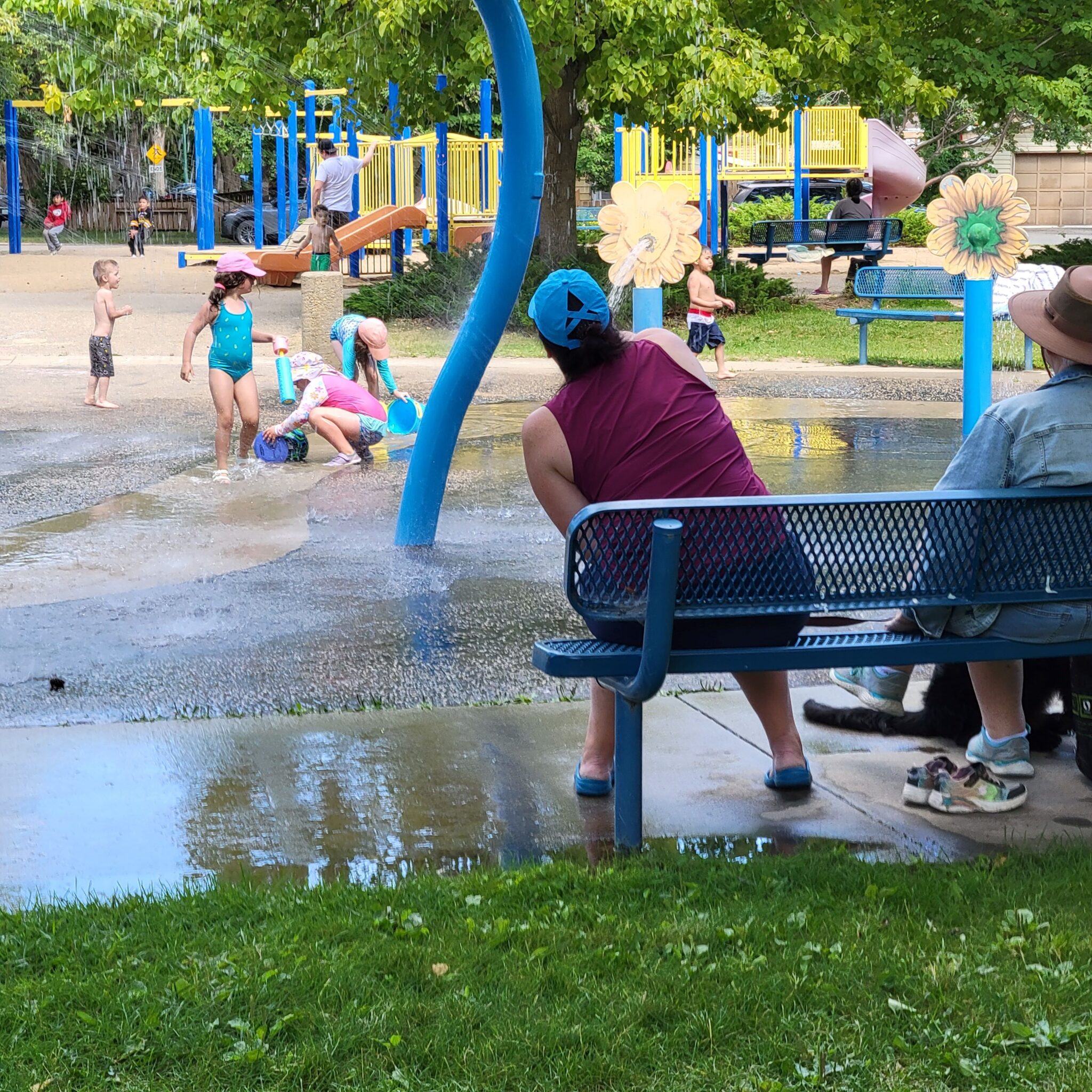 QEXCA | Queen Elizabeth Exhibition Haultain Community Association